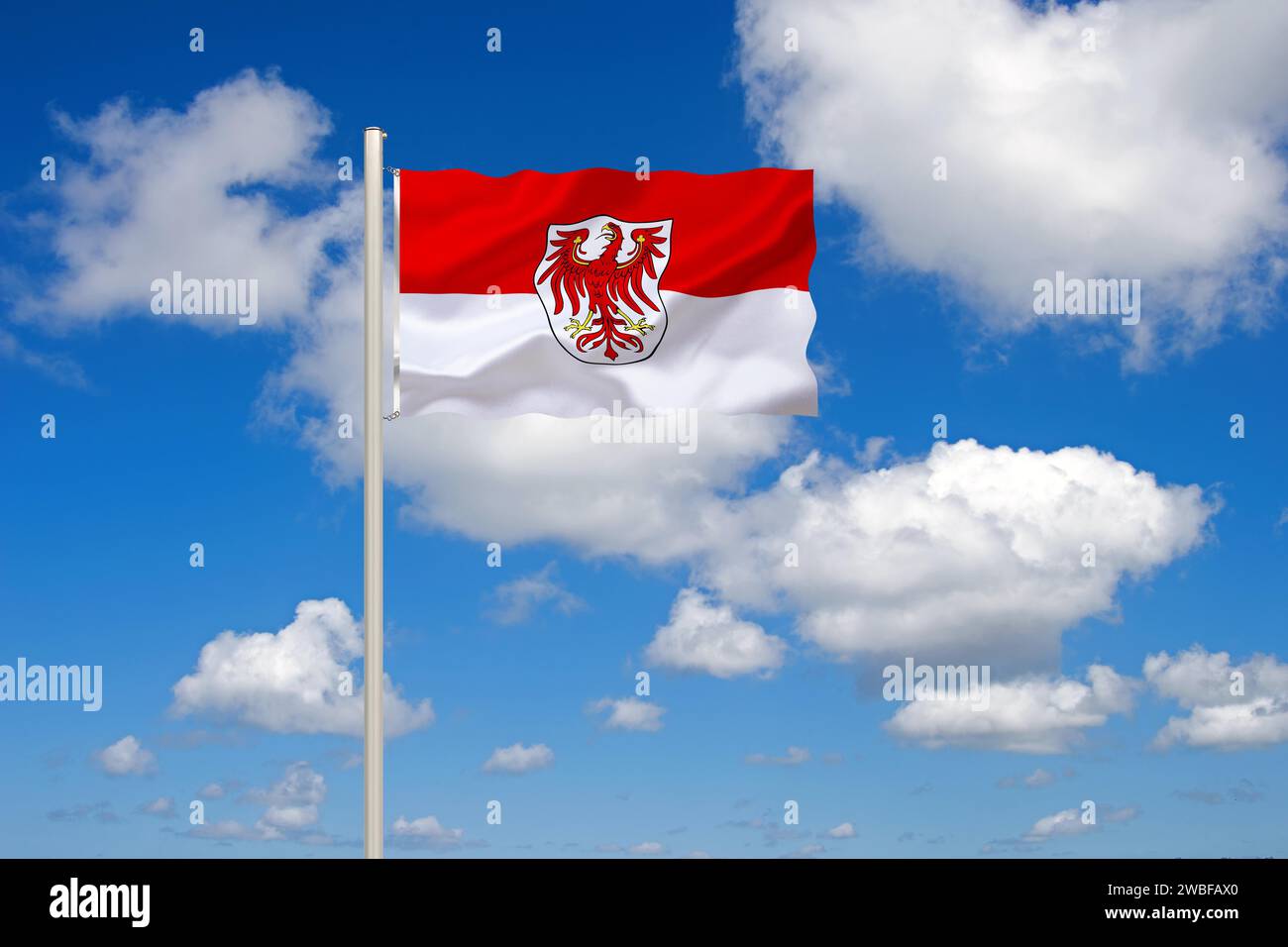 The flag of Brandenburg, state flag, studio Stock Photo - Alamy