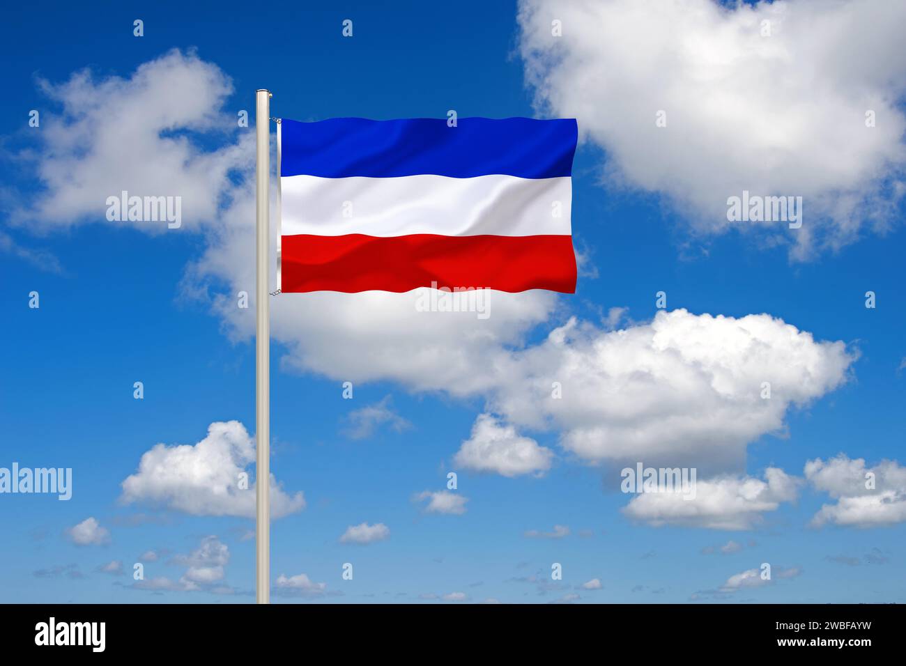 The flag of Schleswig-Holstein, state flag, studio Stock Photo - Alamy