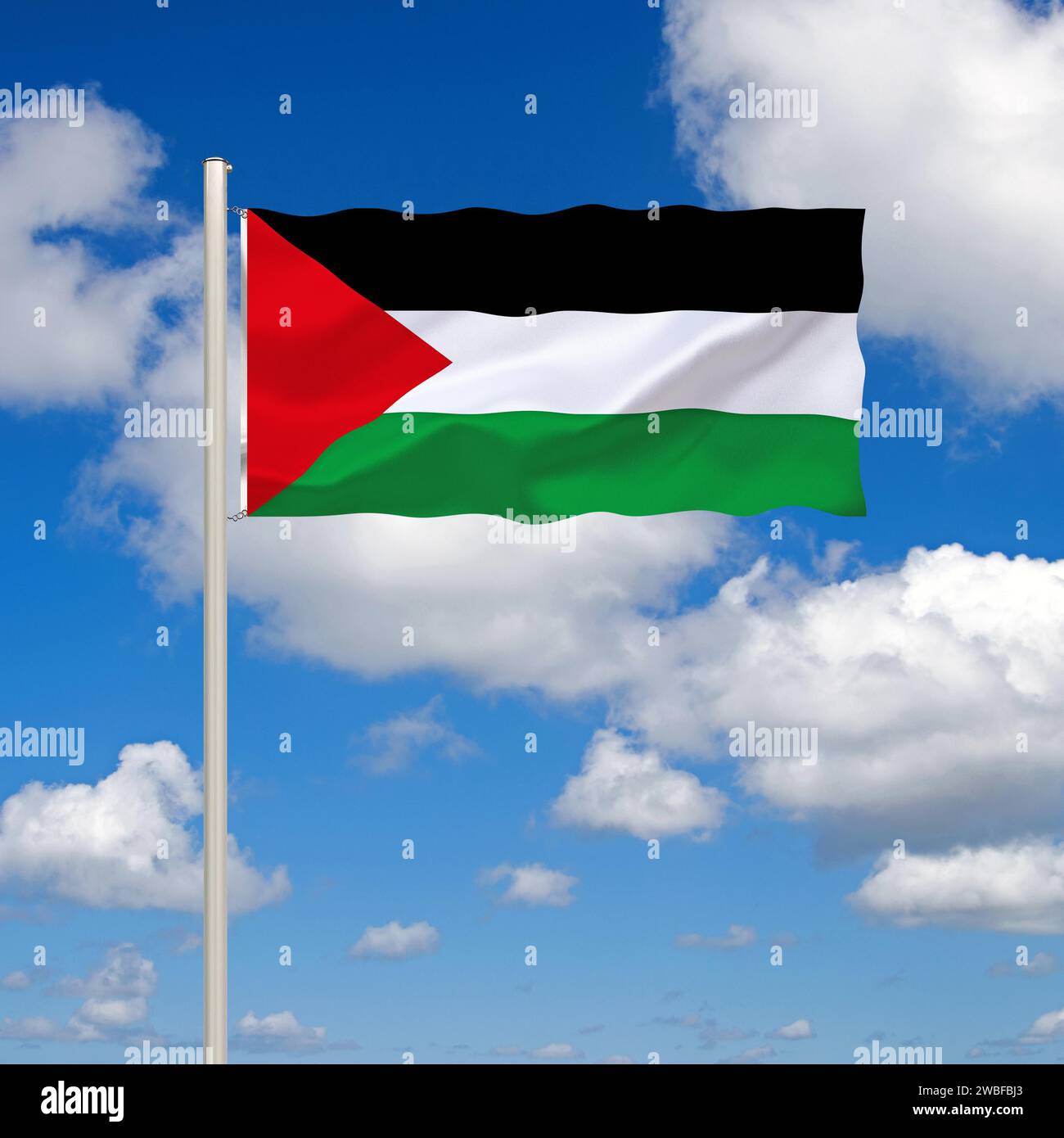 The flag of Palestine, disputed country in the Middle East, Studio ...