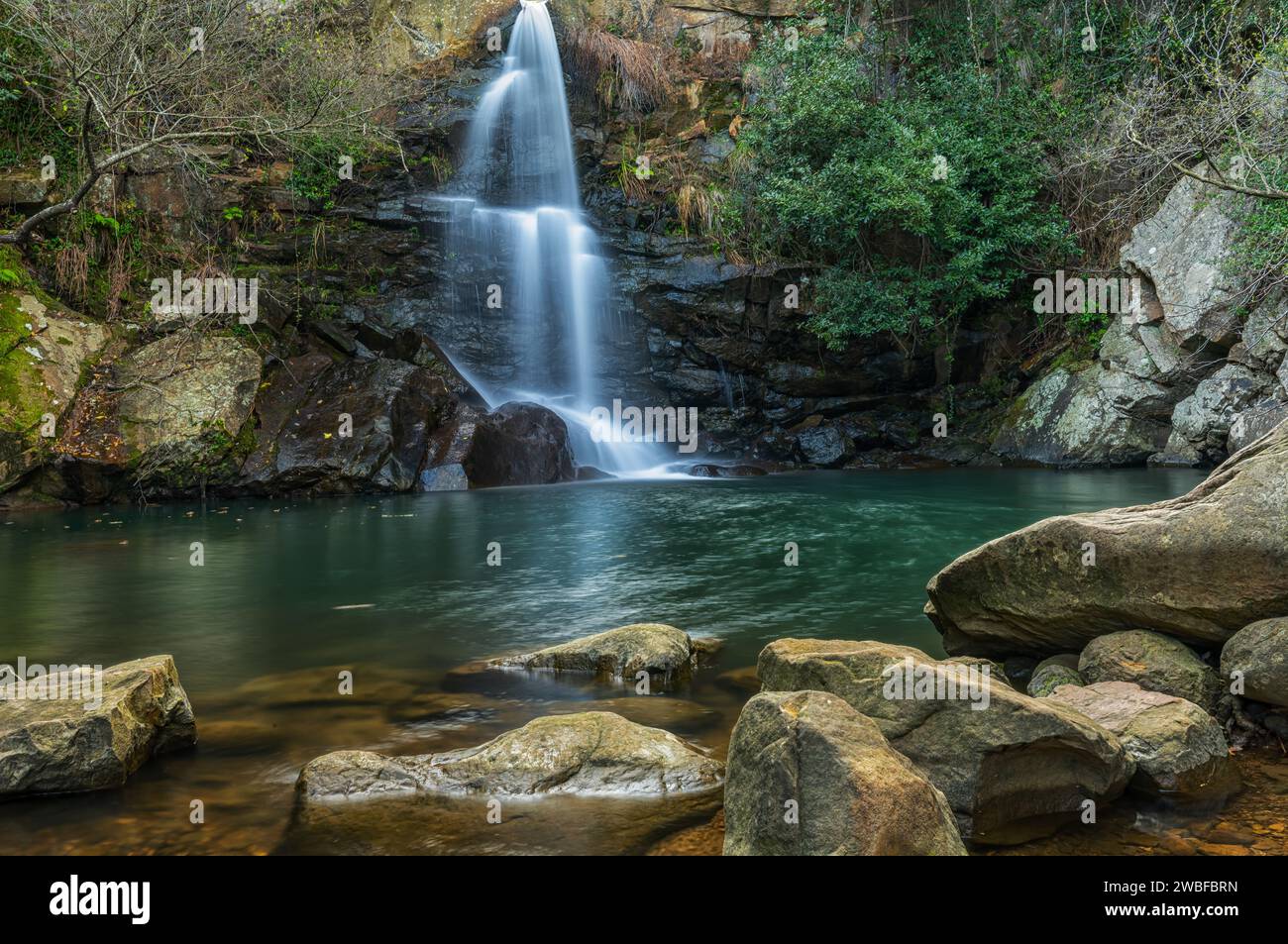 Tranquil waterfall cascading into a clear forest pool surrounded by ...