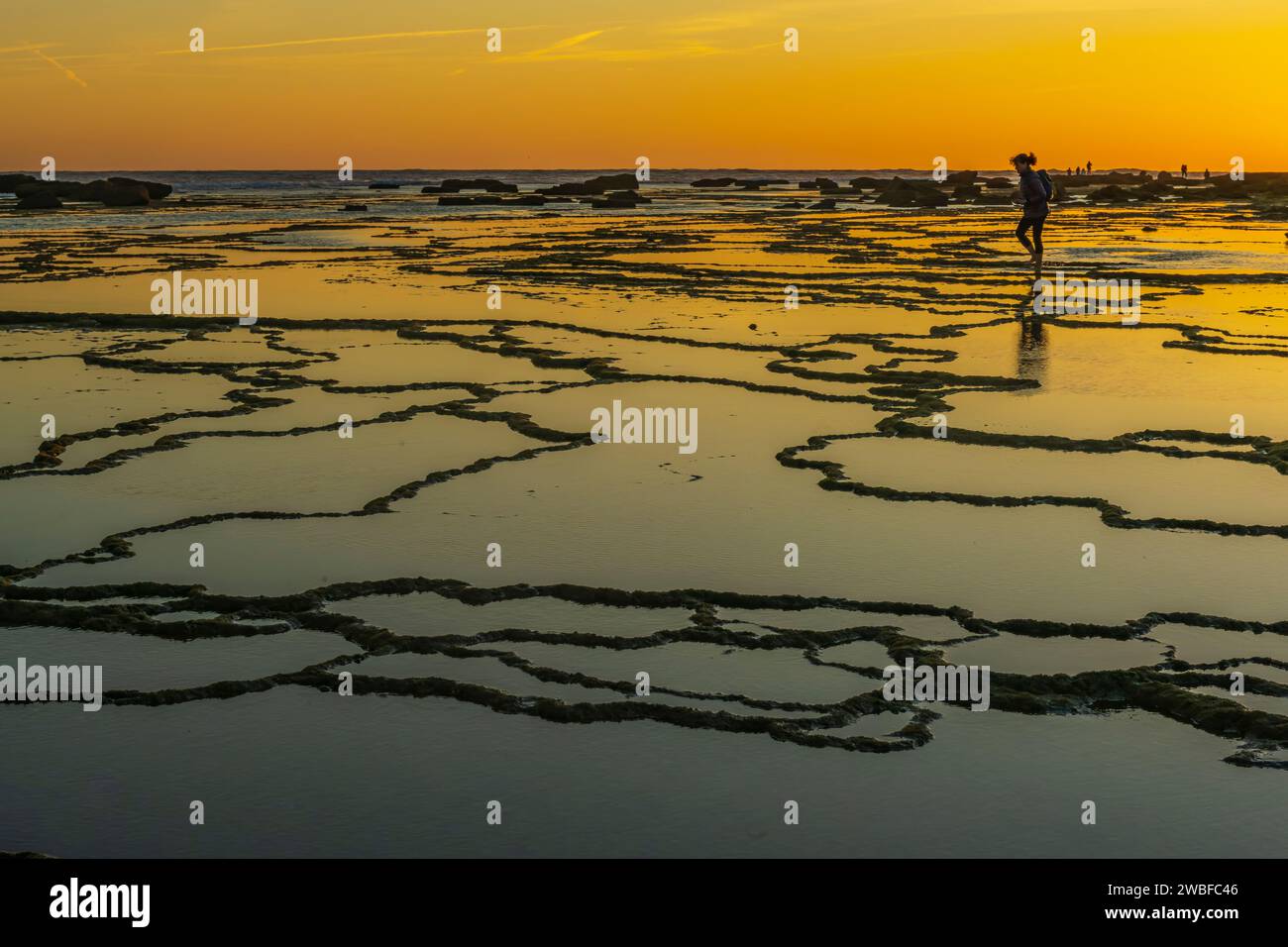 A person photographs the intricate patterns of fractals under a vibrant ...