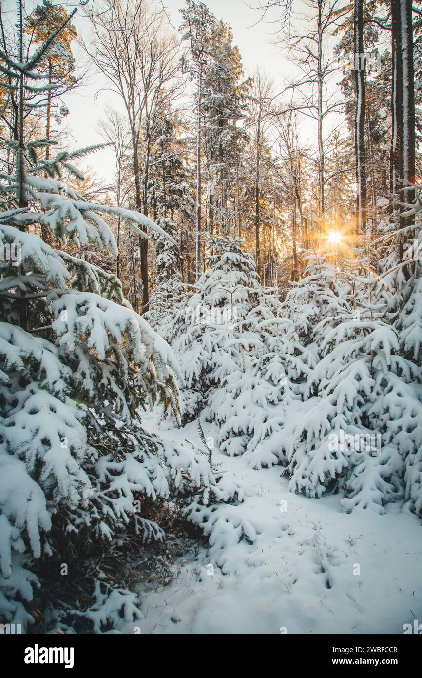 Hiking to the Mandelstein on a cold snowy winter morning, Waldviertel ...