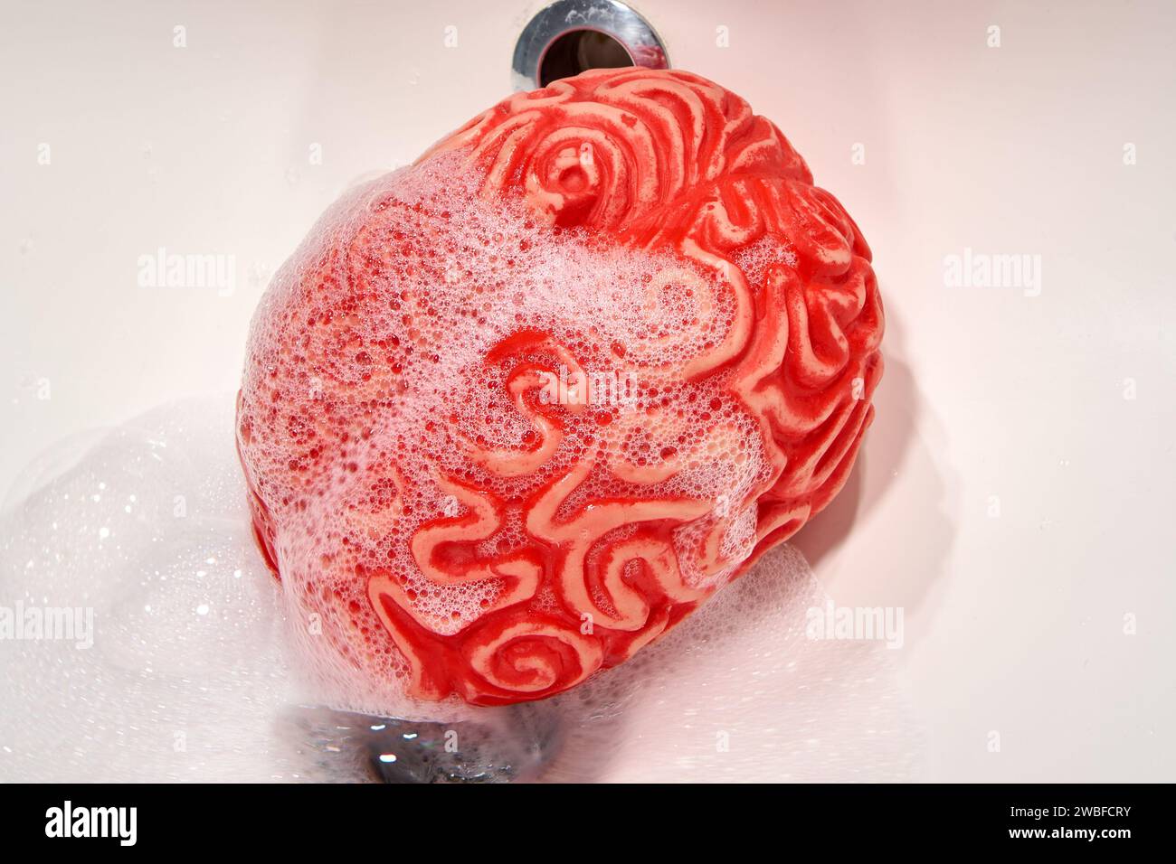 Foam-Filled Brain with Water Representing the Brainwashing Concept ...