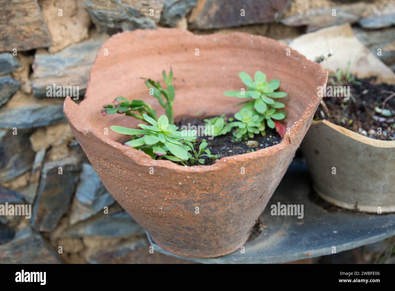 Broken pot hi-res stock photography and images - Alamy