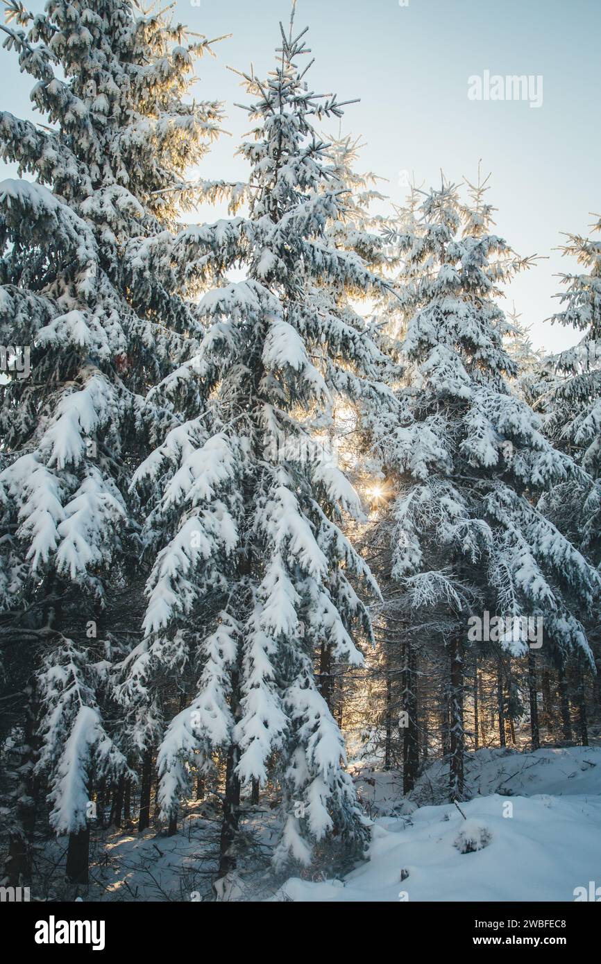 Hiking to the Mandelstein on a cold snowy winter morning, Waldviertel ...