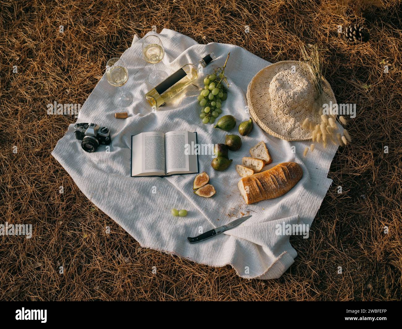 Horizontal straight from above shot of a Mediterranean picnic for two ...