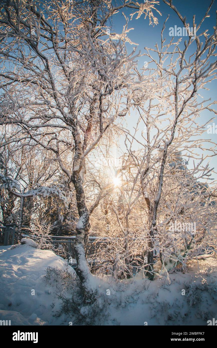 Mandlstein winter hi-res stock photography and images - Alamy