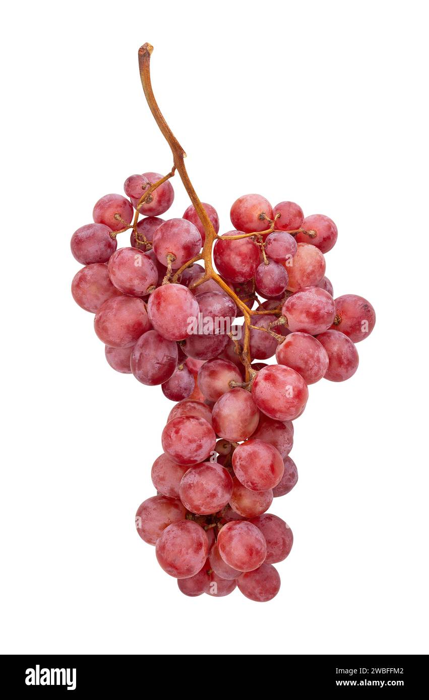 Grape red fresh fruit single whole hi-res stock photography and images ...