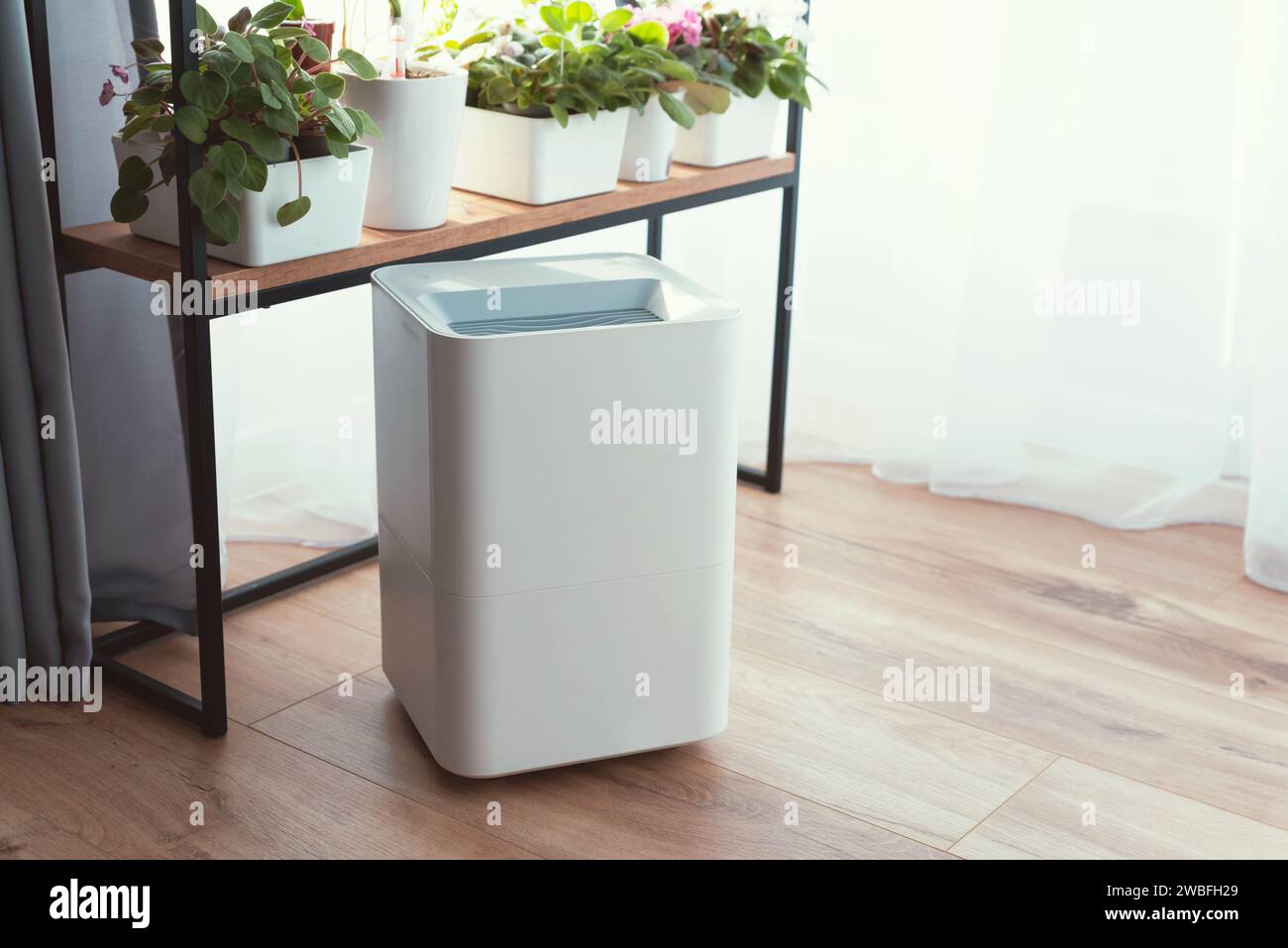 Modern air humidifier in living room. Comfortable living conditions ...