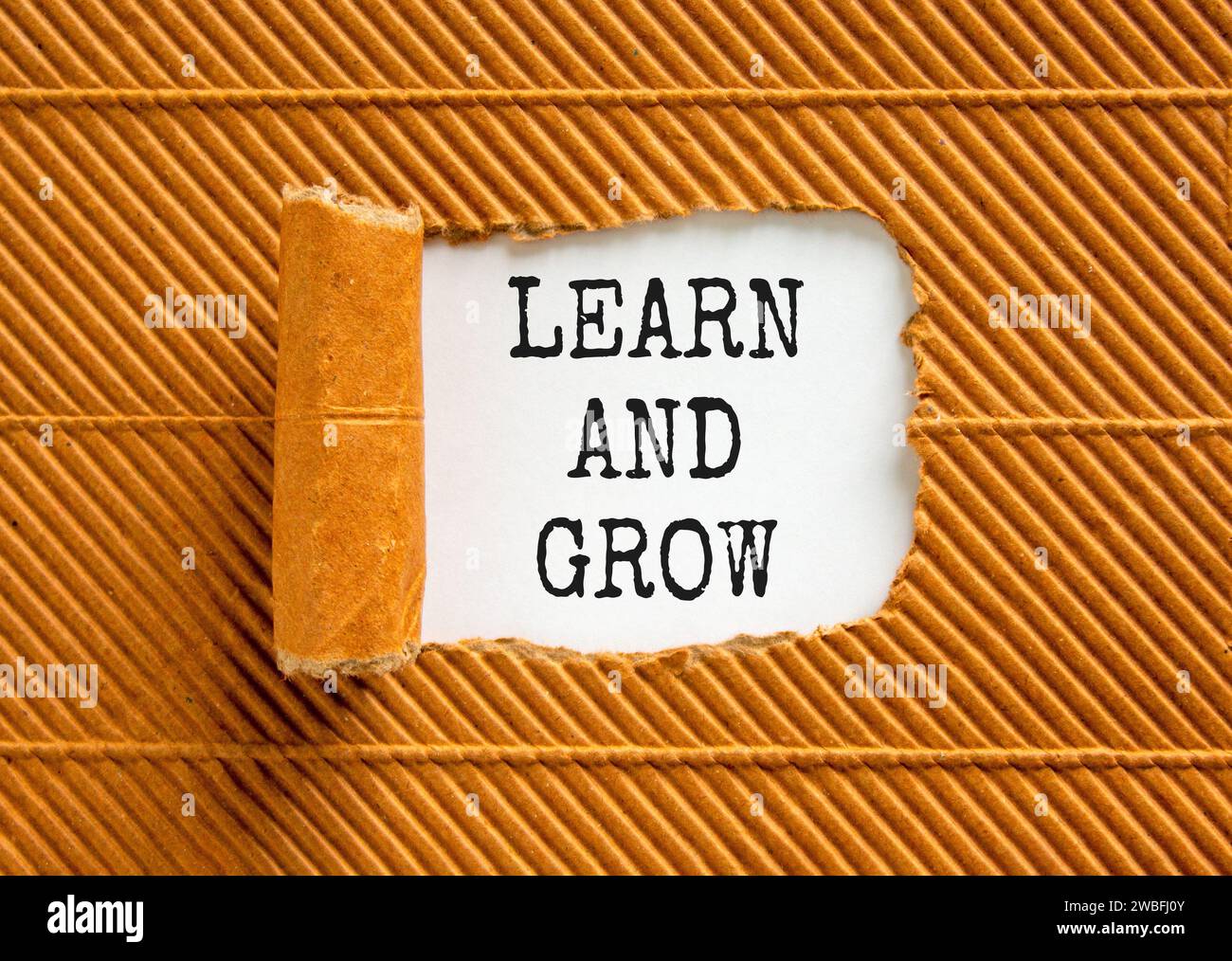 Learn and grow symbol. Concept word Learn And Grow on beautiful white ...