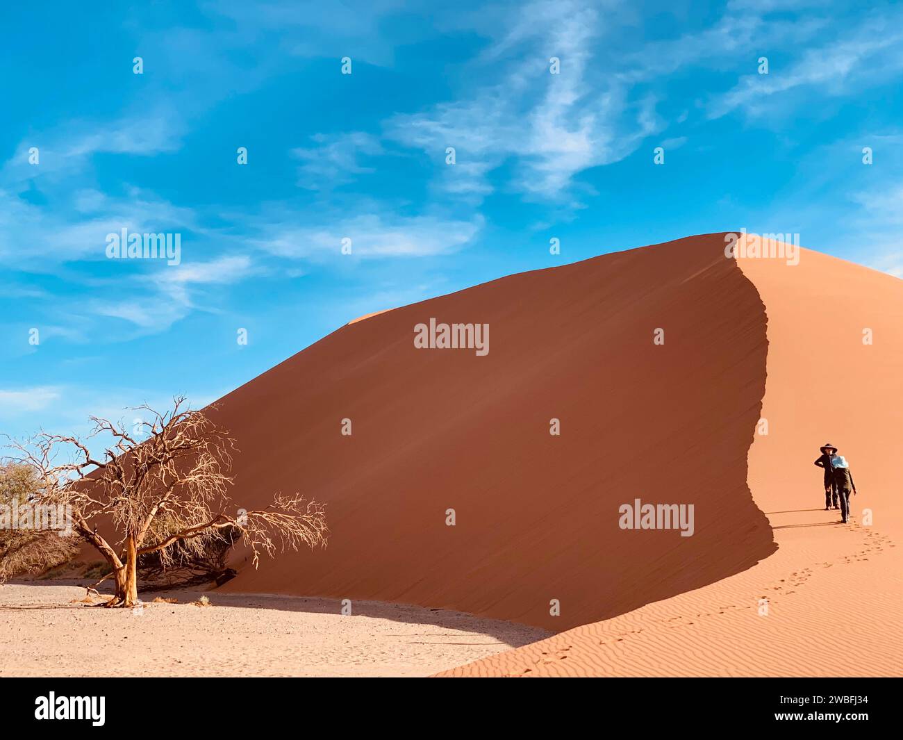 Namibia sand dune Stock Photo - Alamy