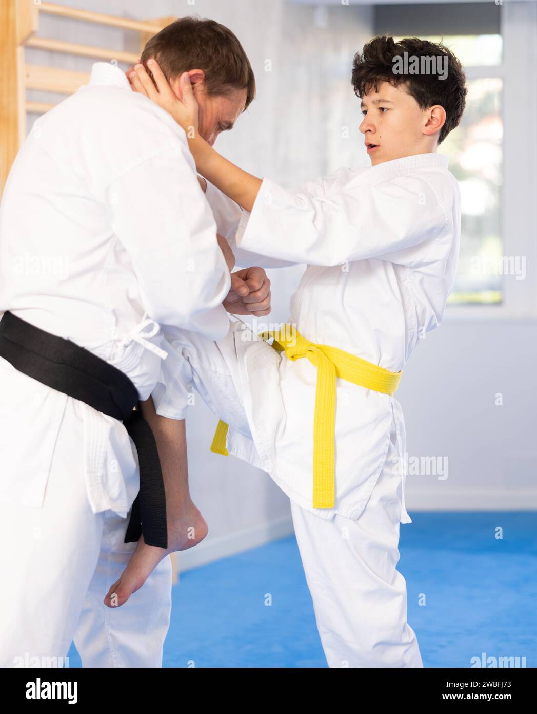 Man and teenage boy train judo fighting techniques Stock Photo - Alamy