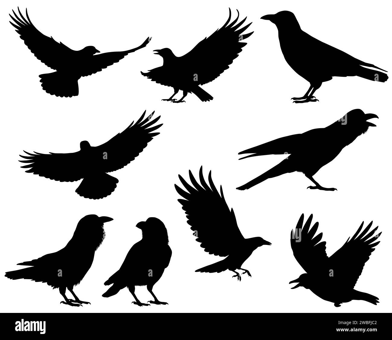 Ravens view Stock Vector Images - Alamy