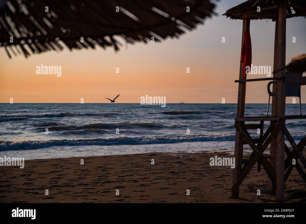 Spille hi-res stock photography and images - Alamy