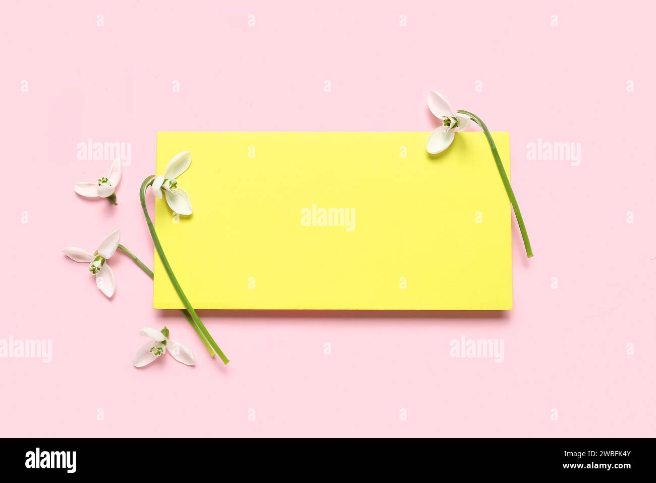 Beautiful snowdrops and greeting card on pink background Stock Photo ...