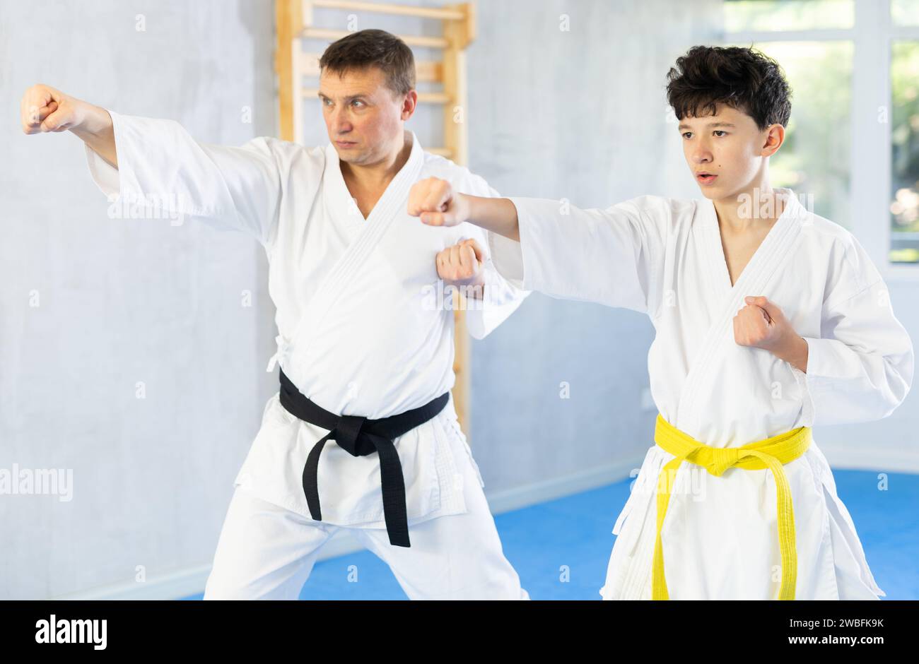 Individual karate lesson for teenager - fighting position of teenager ...
