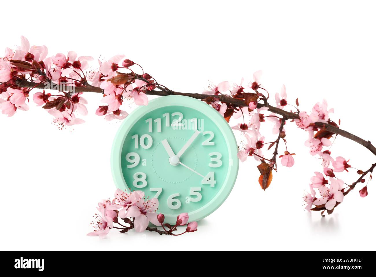 Blooming spring branches and clock on white background Stock Photo - Alamy
