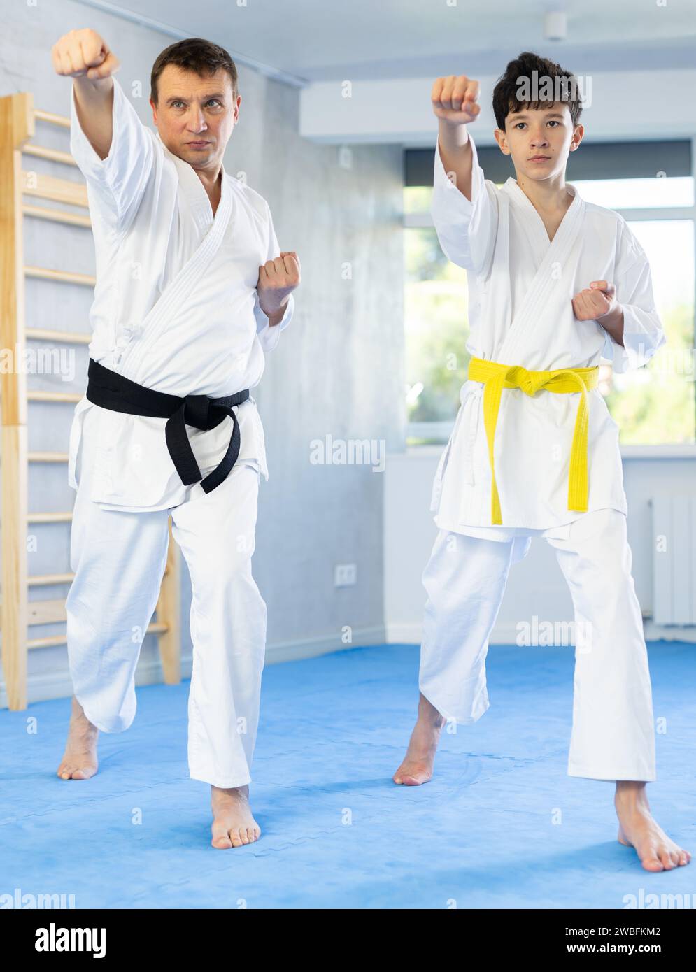 Individual karate lesson for teenager - fighting position of teenager ...