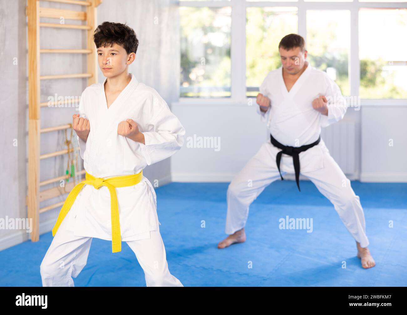 Individual karate lesson for teenager - fighting position of teenager ...