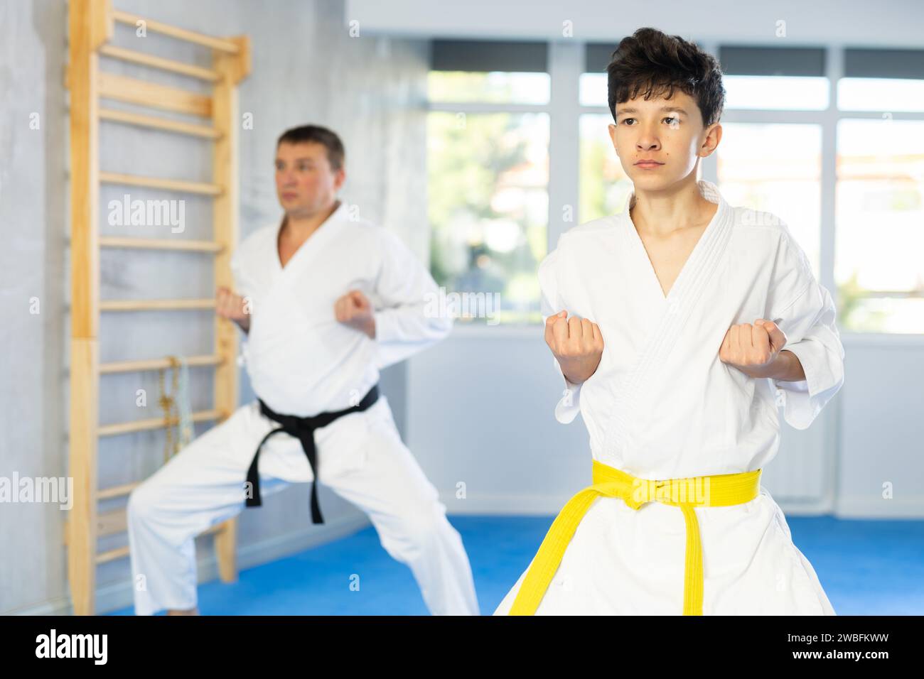 Karate trainer teaching block and punches to teenager in the gym Stock ...