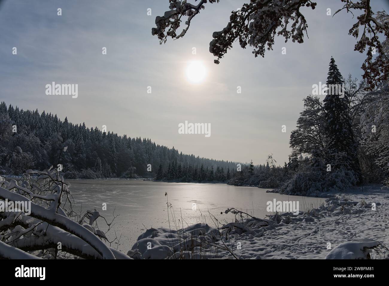 Frosty white winter landscape around the freezed lake and the forest ...