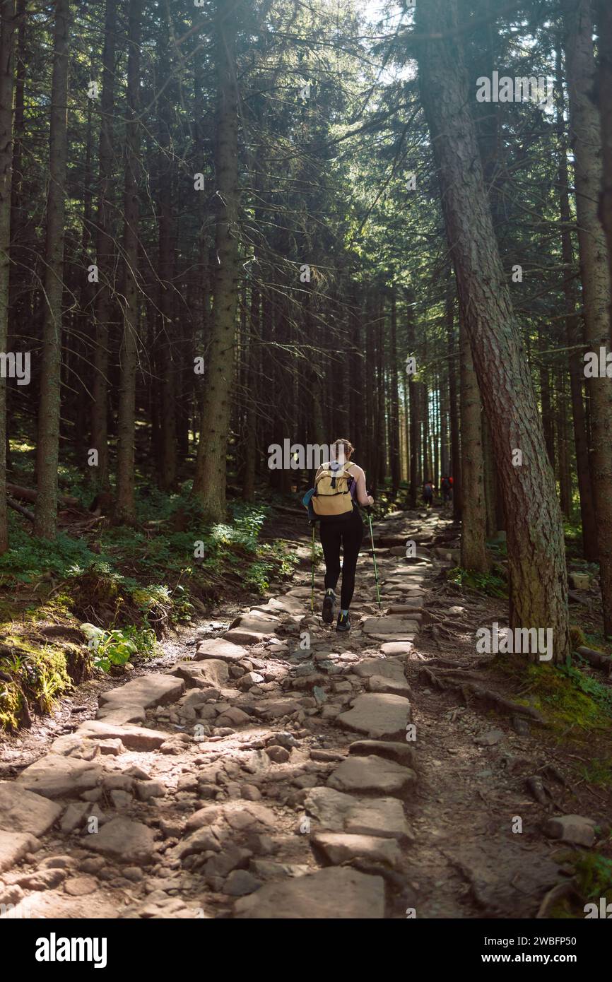 Adventure. Pretty young female backpacker woman enjoying green ...