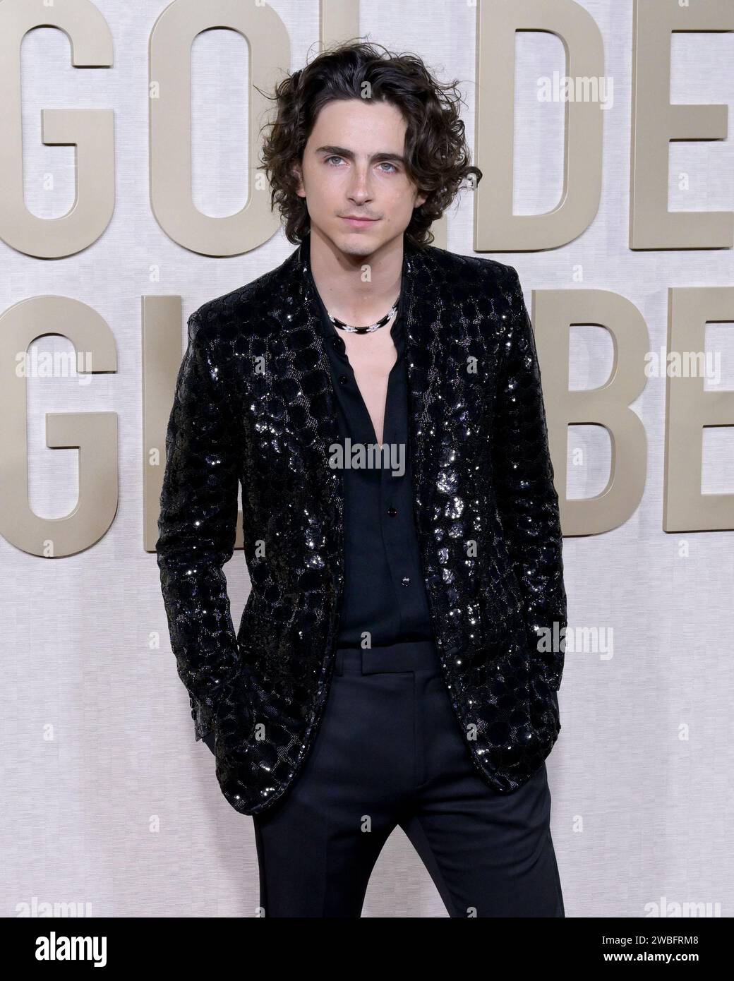 Beverly Hills, California, USA. 07th Jan, 2024. Timothee Chalamet. 81st ...