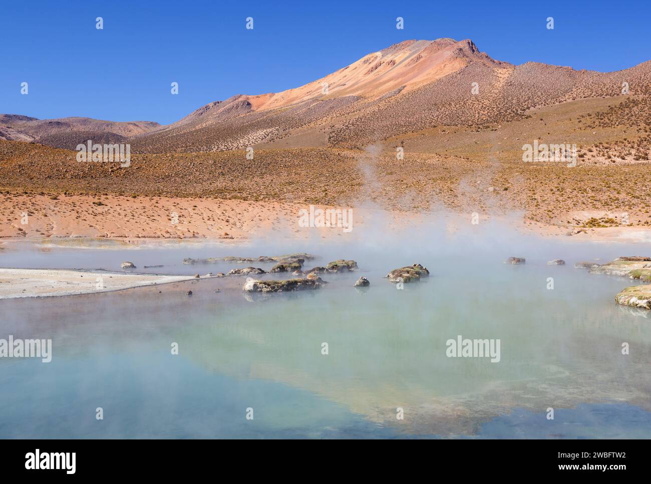 Natural Hot Spring in Atacama desert, Chile, South America Stock Photo ...
