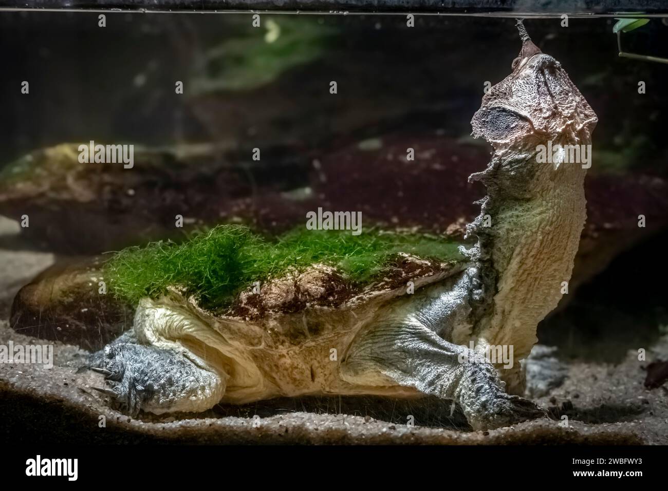 Paris, France - 12 09 2023: Palais de la Porte Dorée. Tropical fishes ...