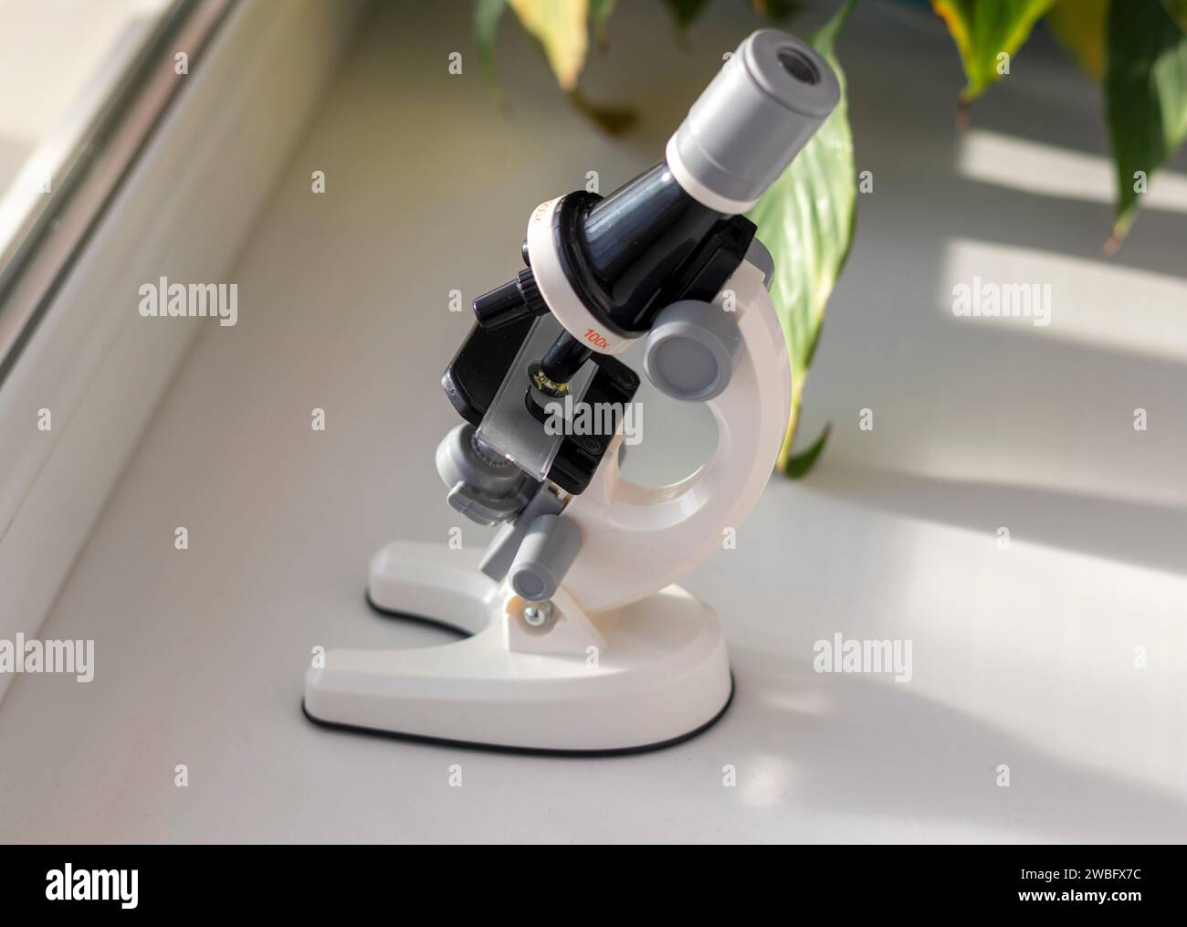 lose up shot of the microscope on the window Stock Photo - Alamy