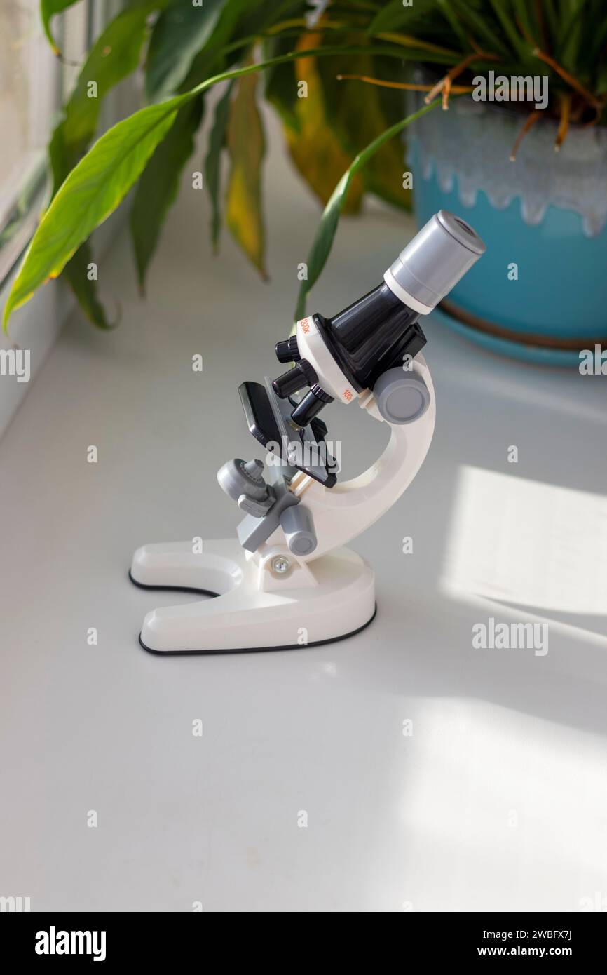 lose up shot of the microscope on the window Stock Photo - Alamy
