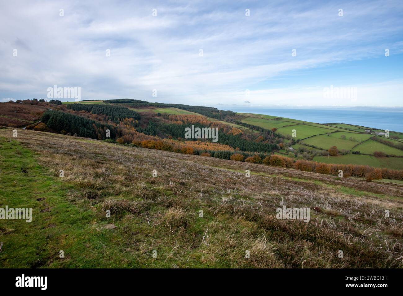 Landscape photo of the autumn colours on Porlock Common at the top of ...