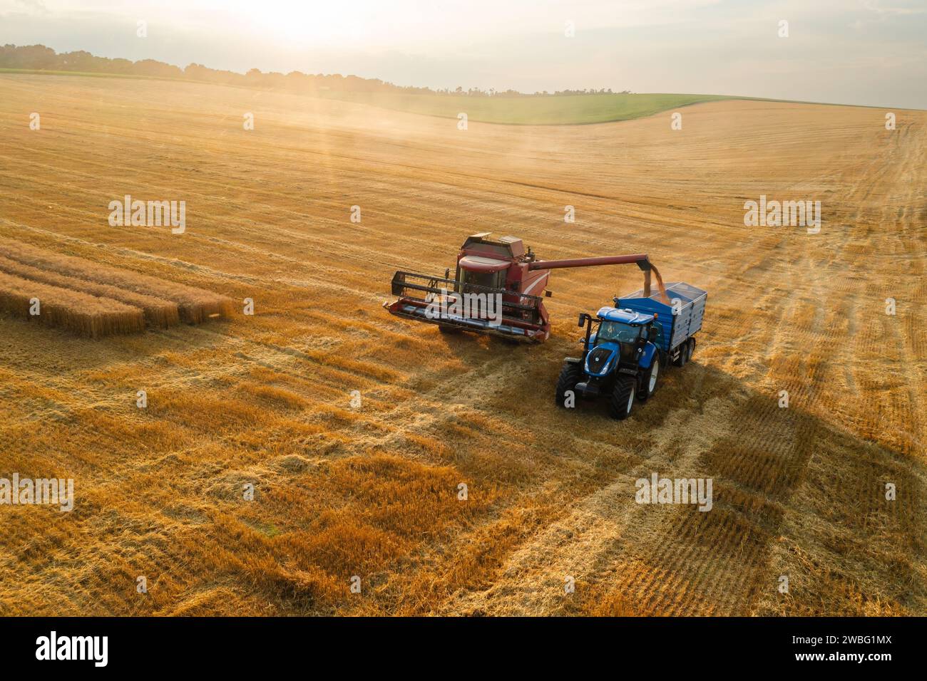 Modern combine harvester efficiently loading a tractor trailer with ...