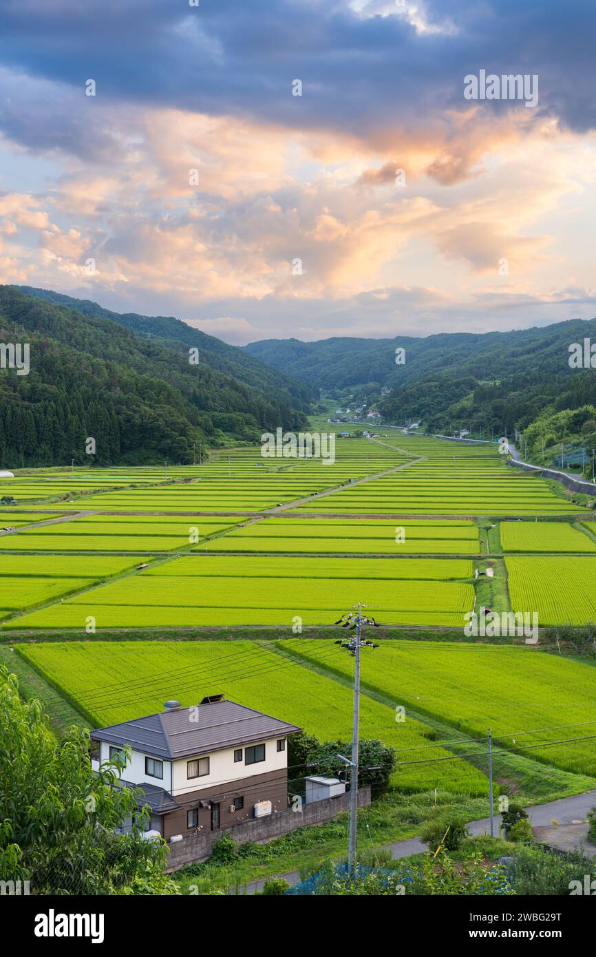 Nagano Prefecture, Japan at rural Tanokuchi Rice Terraces Stock Photo ...