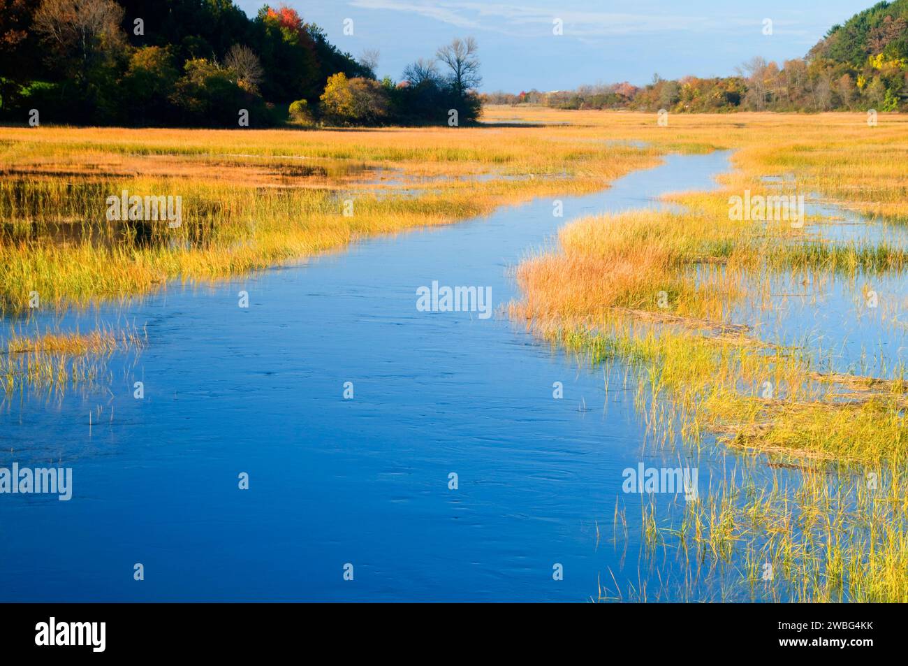 Massachusetts marsh hi-res stock photography and images - Alamy