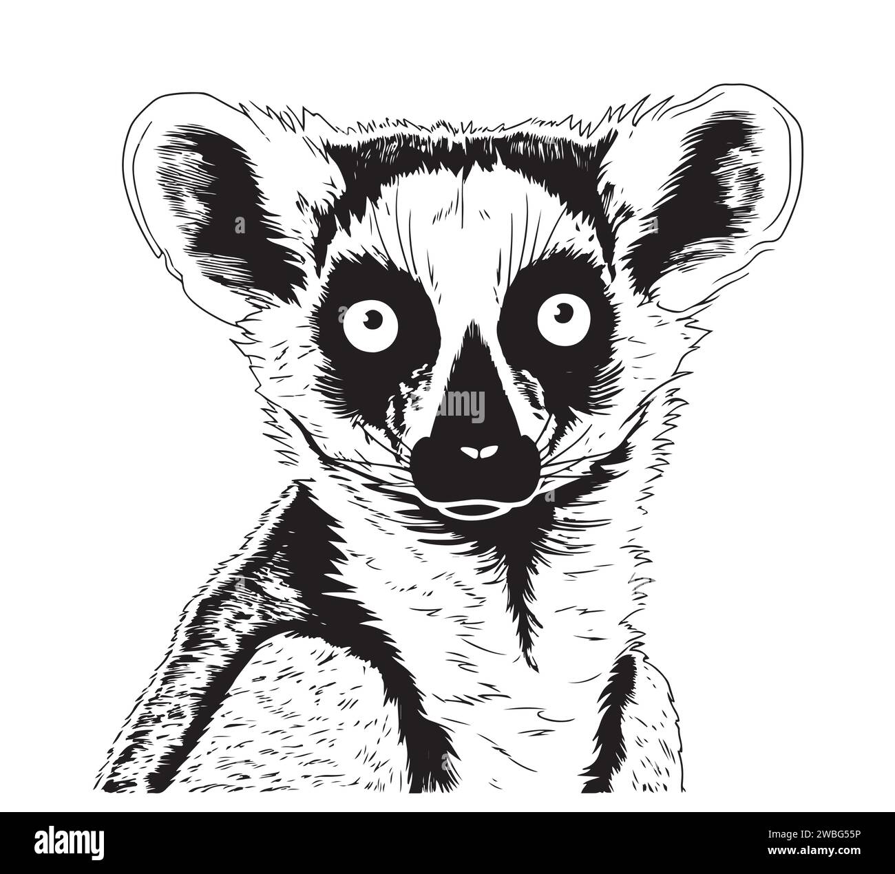 Lemur Xilofonista