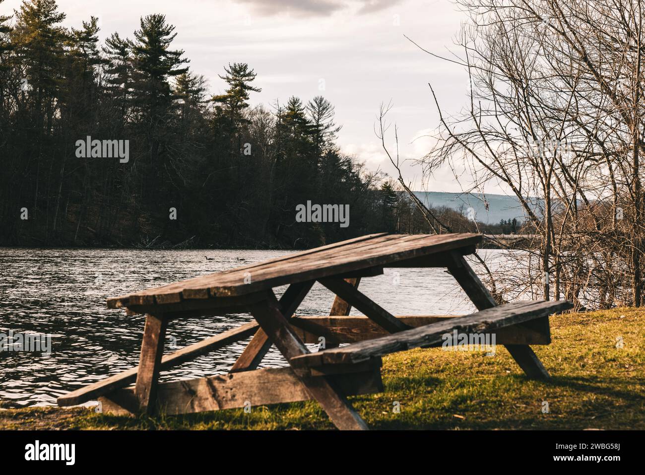 A scenic view of an empty picnic table on the grass, illuminated by the ...