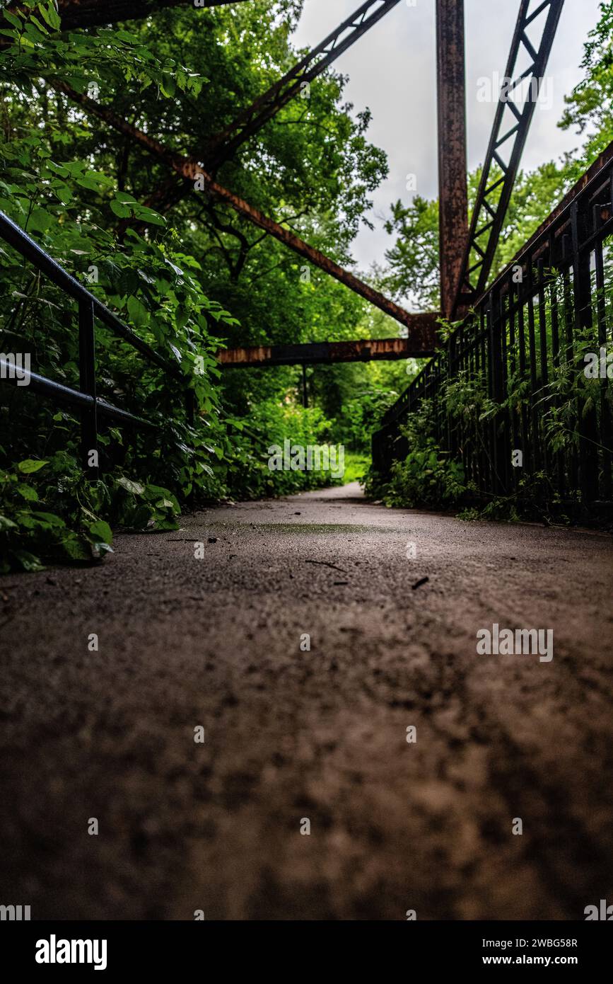 This majestic bridge stands tall and wide, flanked by lush trees that ...