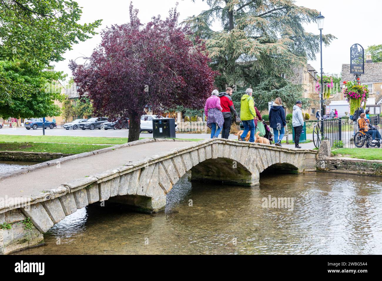 Cotswolds England , people with dogs walk across one of the low stone ...