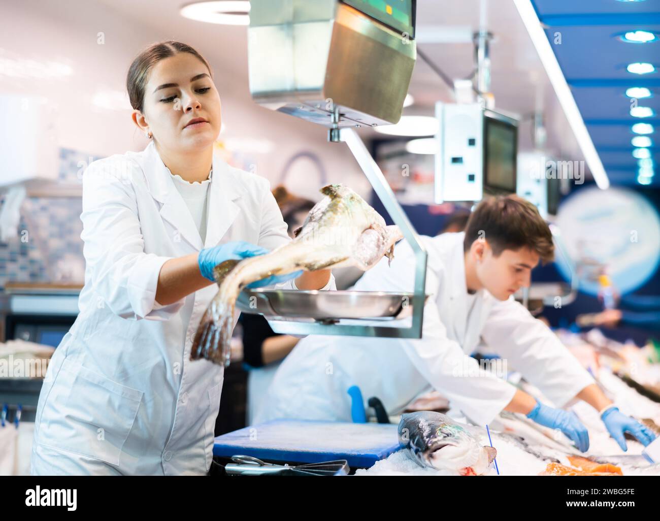 Skilful shop assistant weighing cod fish on scales in fish store Stock ...