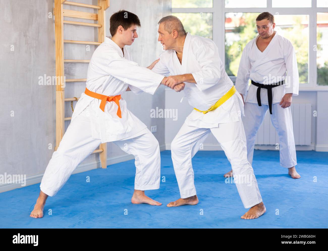 Young and elderly men training judo fight Stock Photo - Alamy