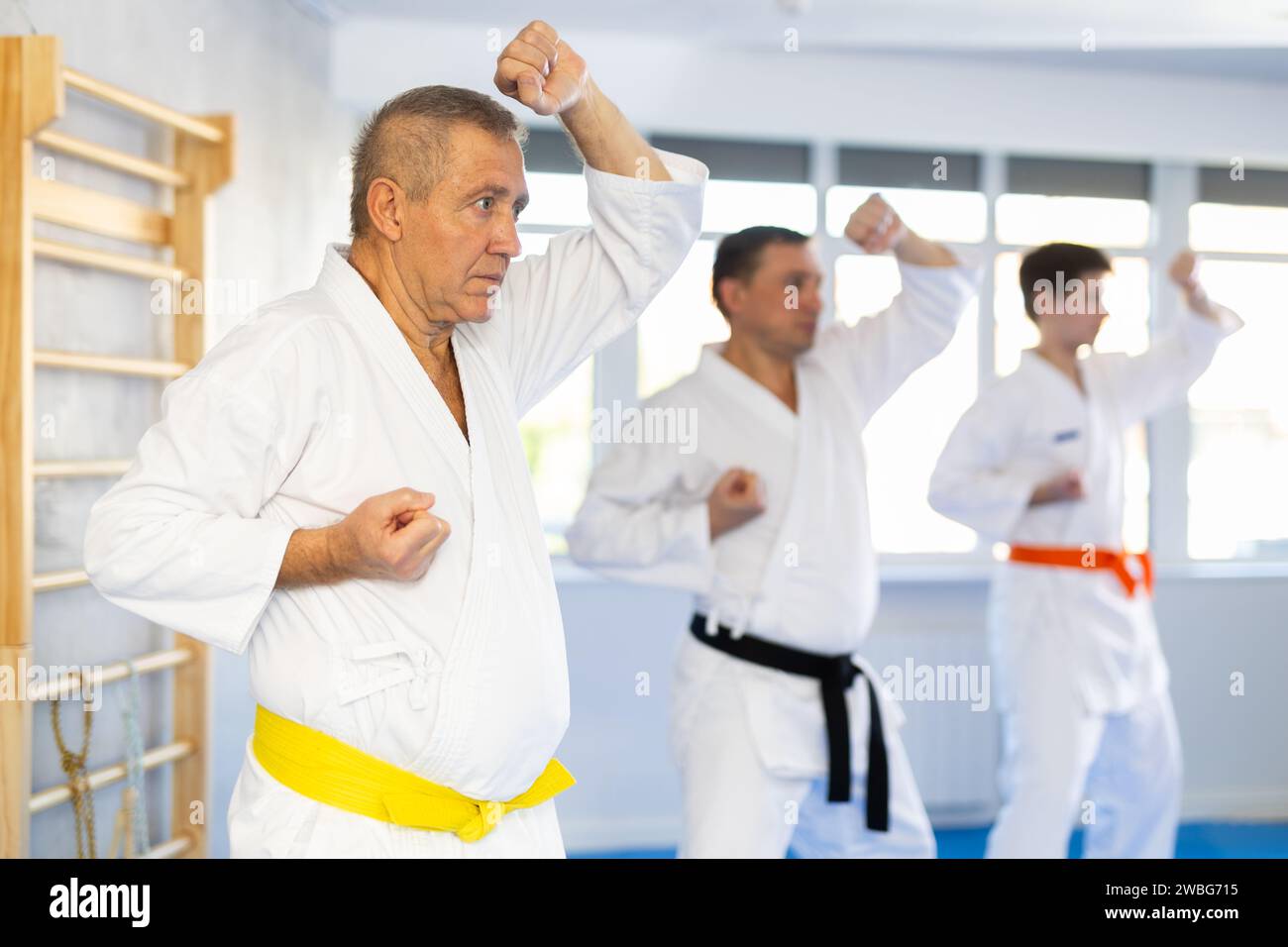 Elderly man performing kata routines at martial arts training with ...