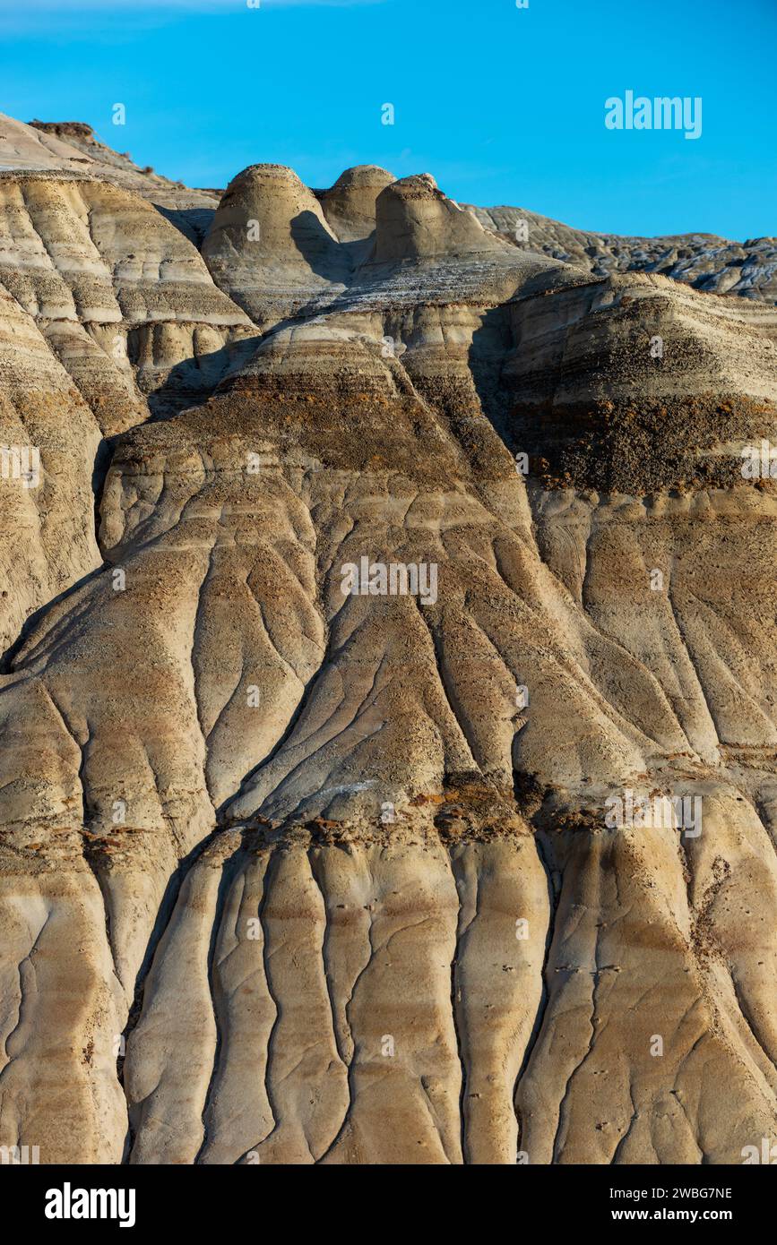Sandstone pillars with rock caps, Willow Creek Hoodoos Drumheller ...