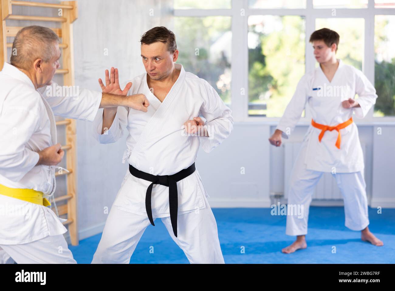 Experienced karate fighter practicing martial art techniques in ...