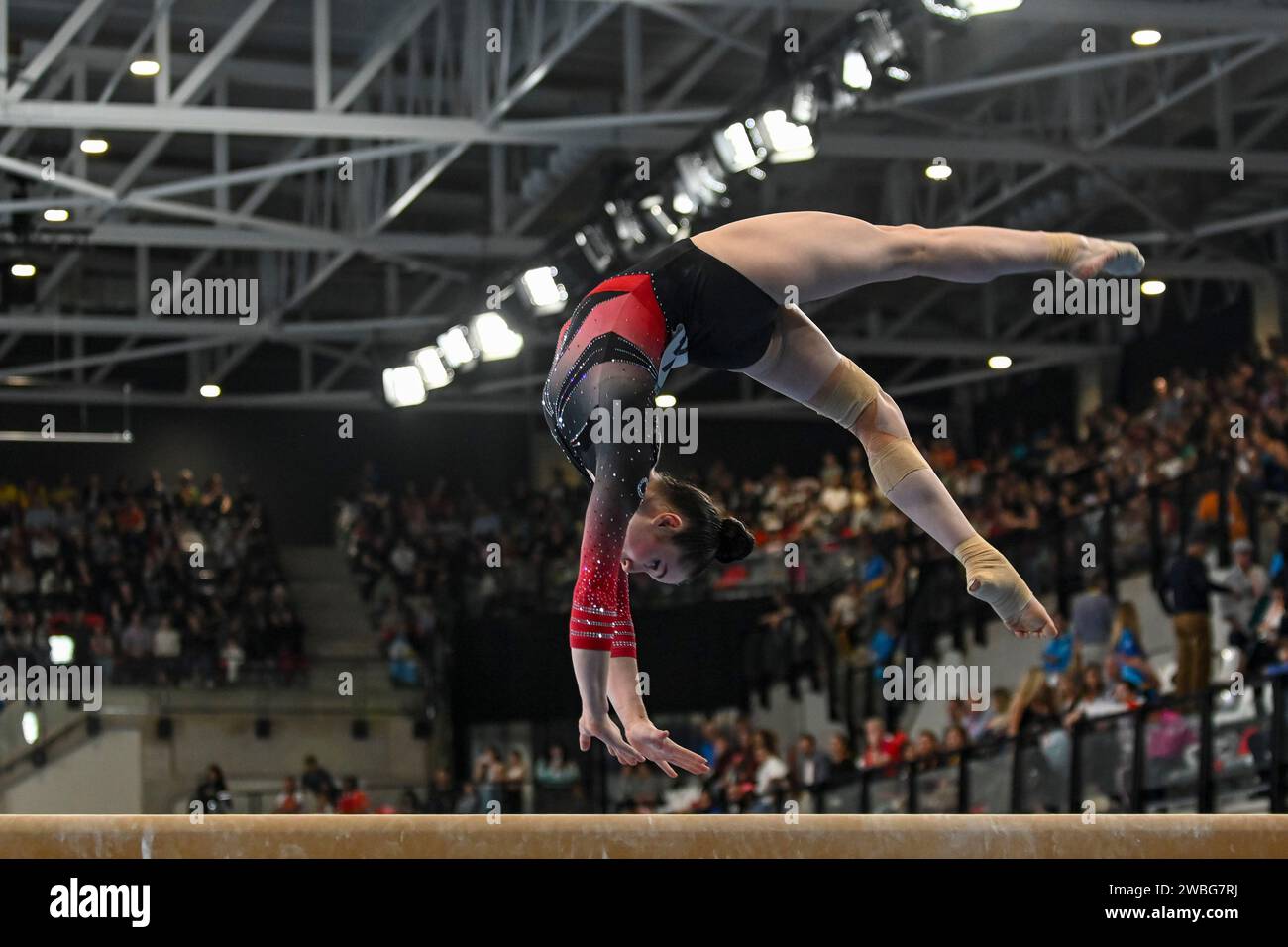 Ava stewart hi-res stock photography and images - Alamy