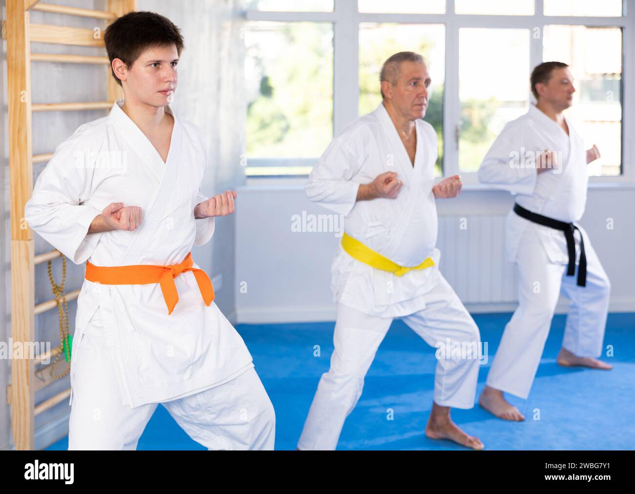 Fighting stance of men of different ages during group karate training ...
