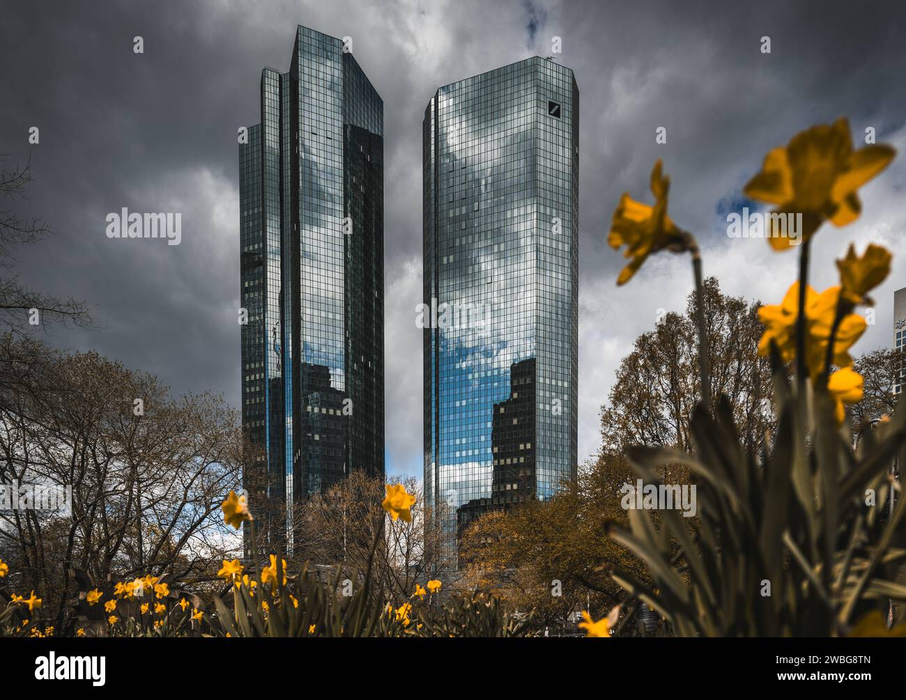 A vibrant field of colorful flowers in front of a towering skyscraper ...