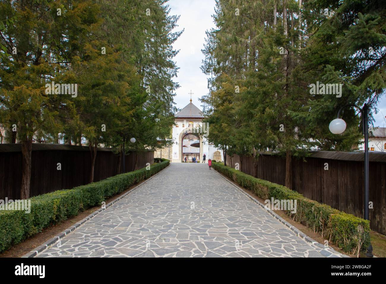 A tranquil pathway lined with lush green trees, situated in a scenic ...