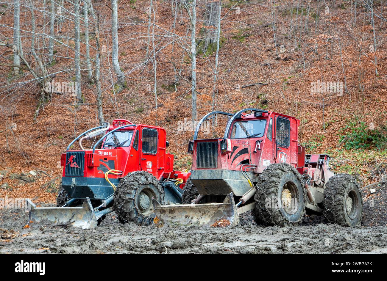 Two four-wheel drive vehicles parked off-road in a grassy field ...