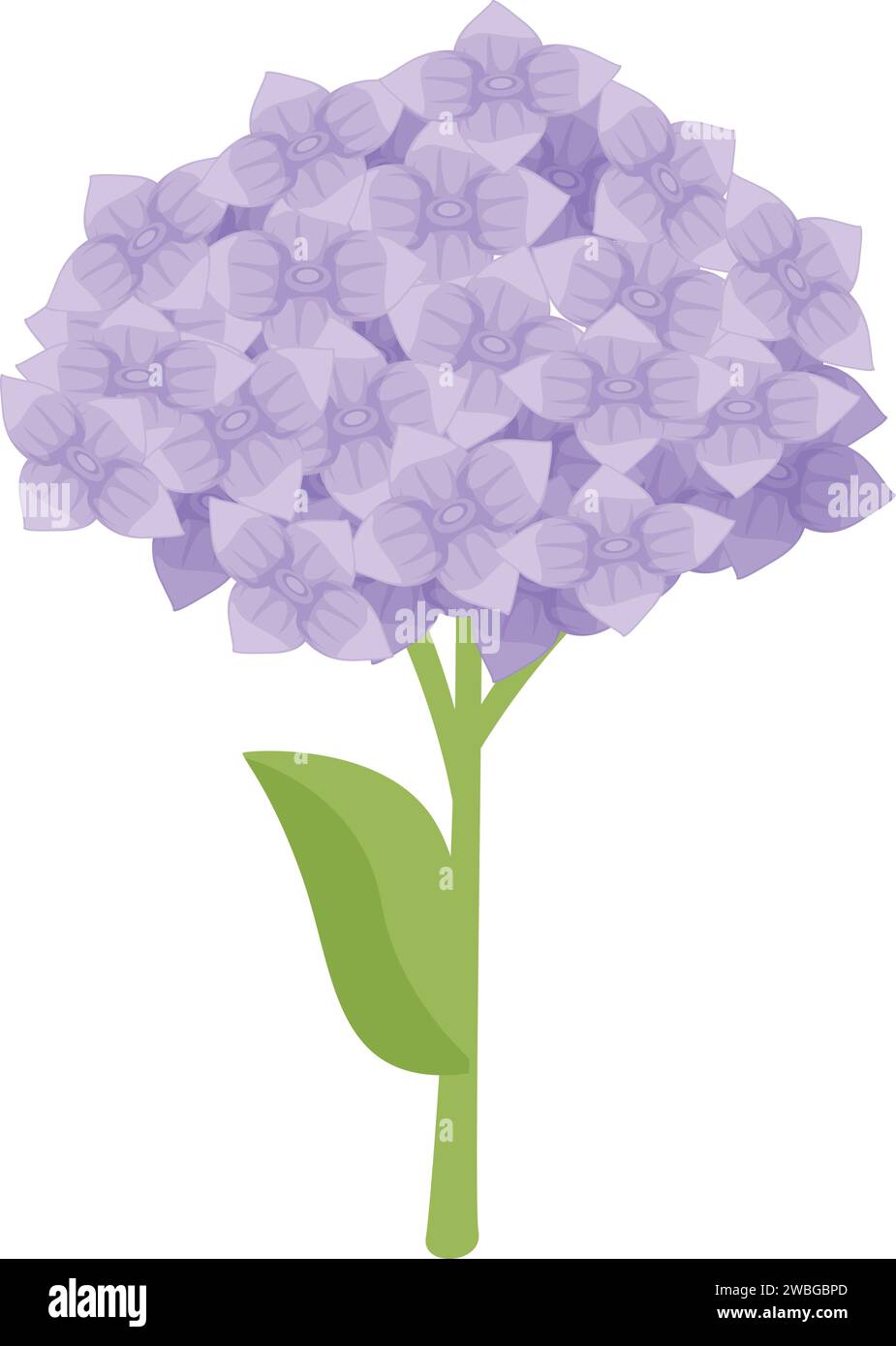 Floral hydrangea icon cartoon vector. Petal plant leaf. Summer time ...